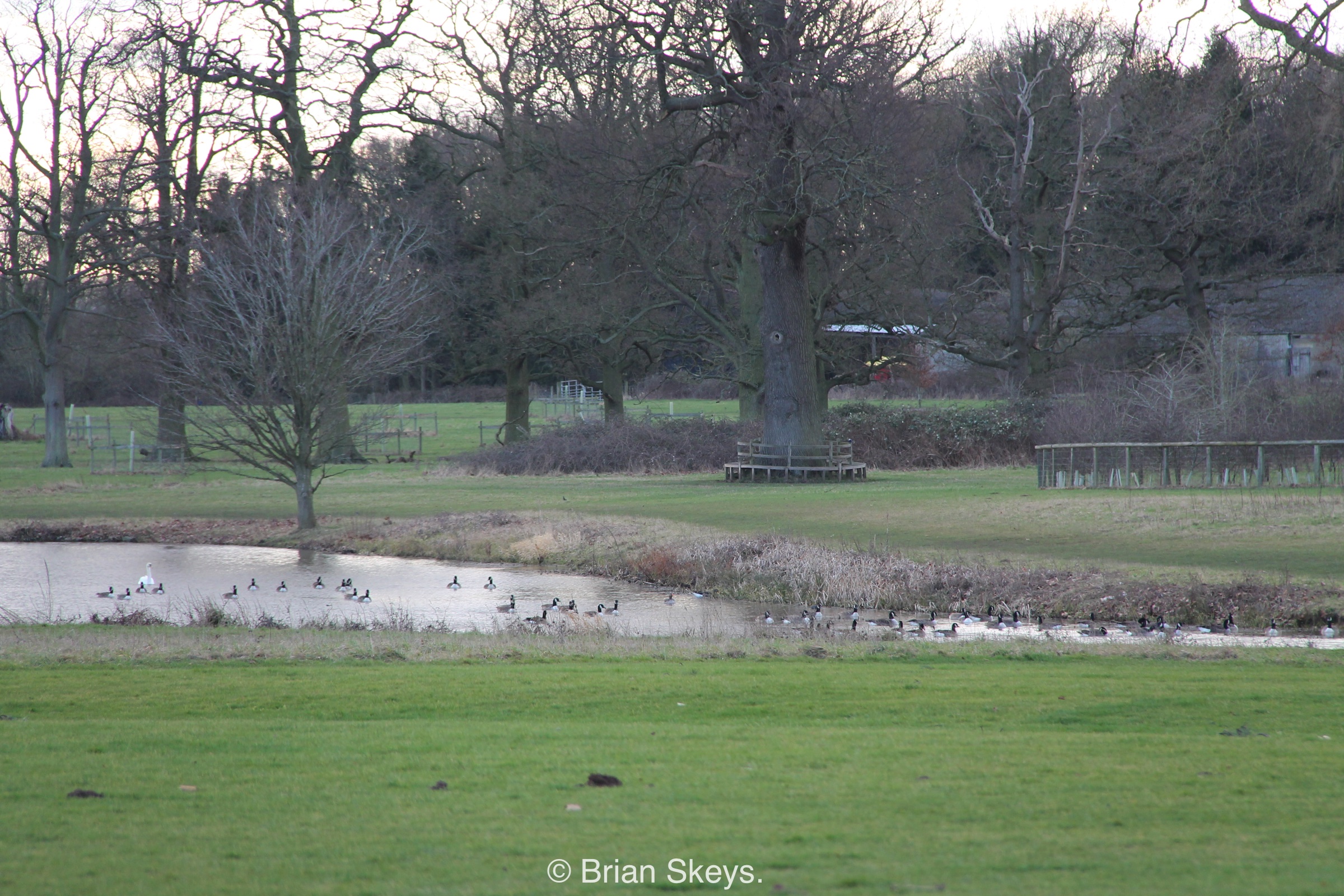 Croome Park. – brimfields.com