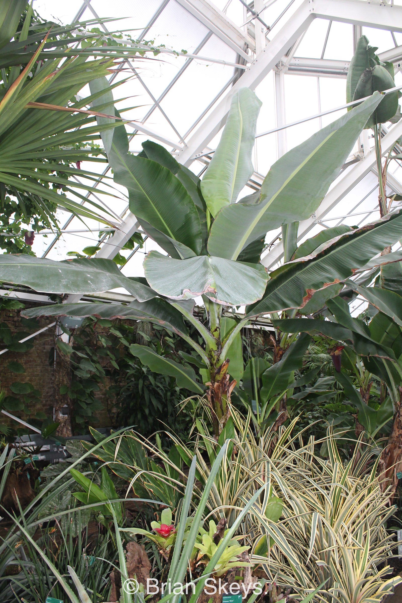 The National Botanic Garden of Wales. – brimfields.com