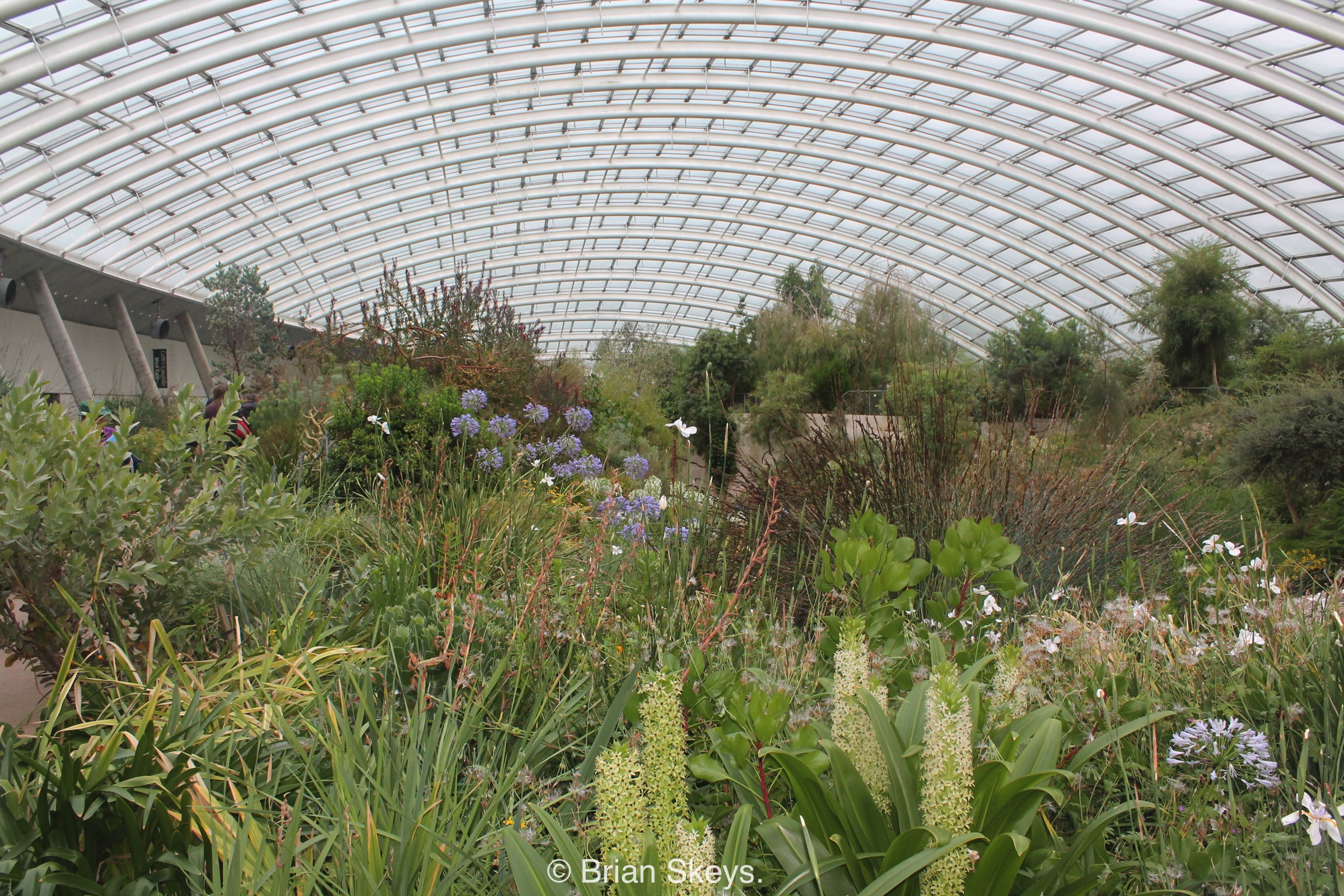 The National Botanic Garden of Wales. – brimfields.com