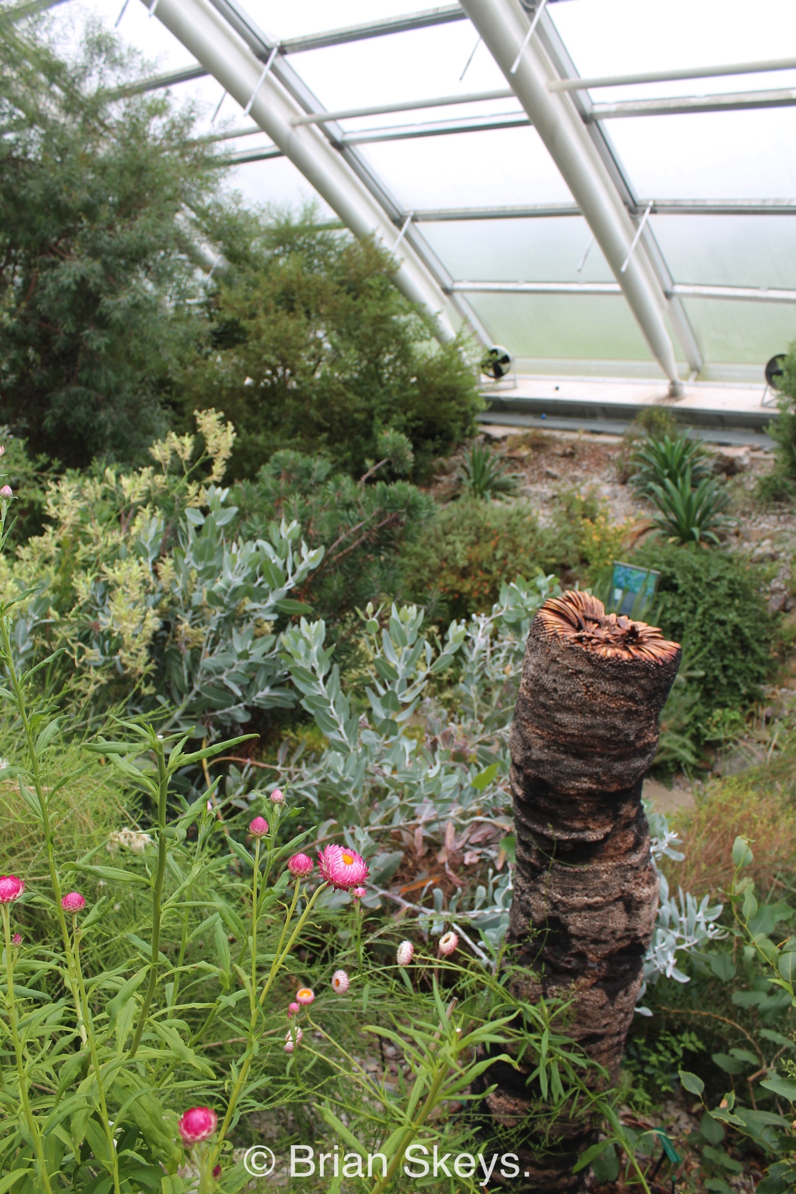 The National Botanic Garden of Wales. – brimfields.com